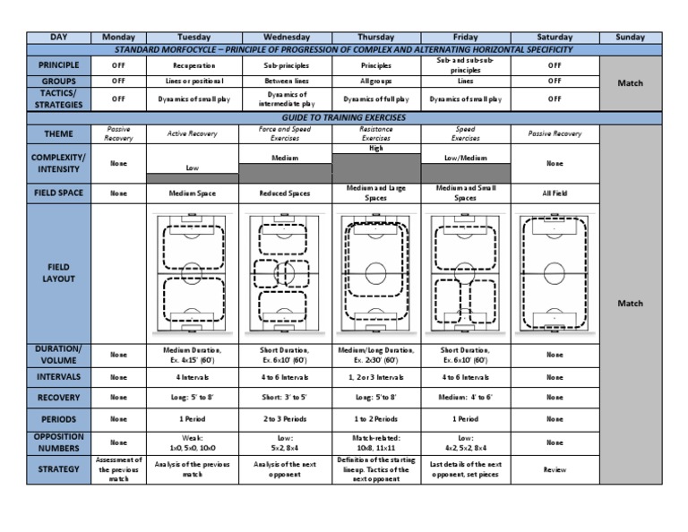 Tactical Periodization: Standard Morfocycle | PDF | Nature
