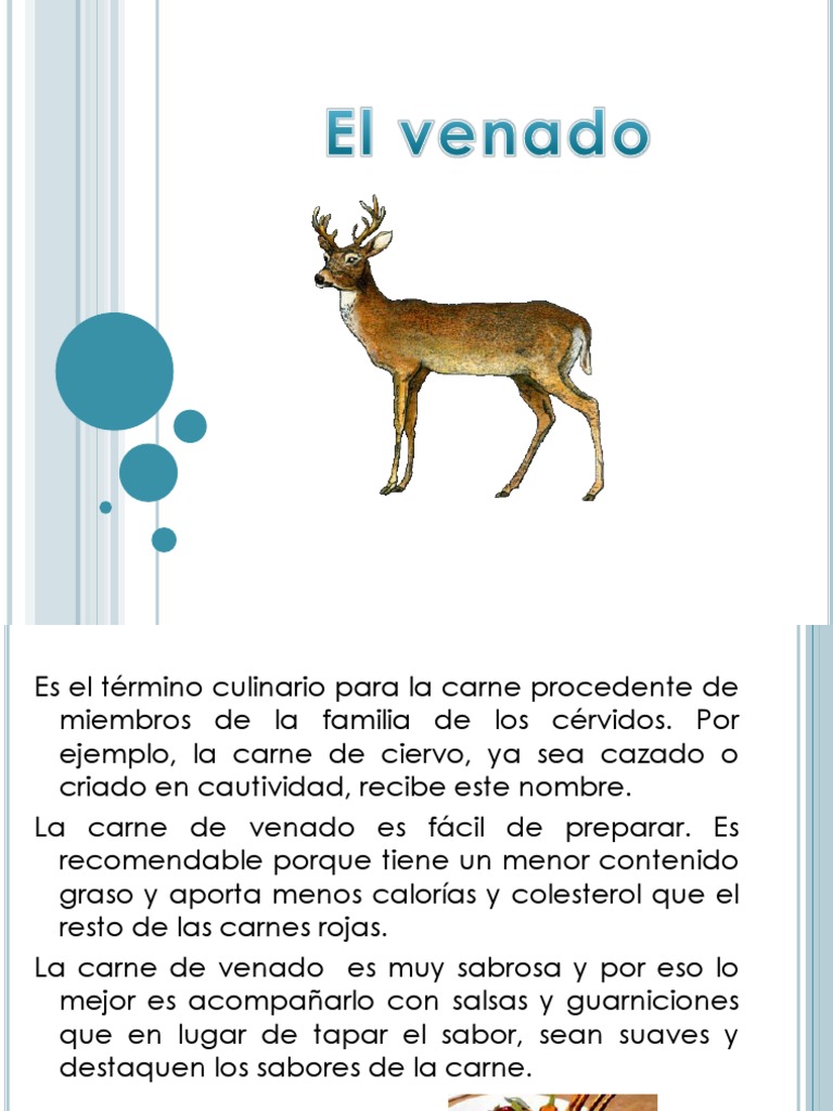 Venado | PDF | Carne | Alimentos