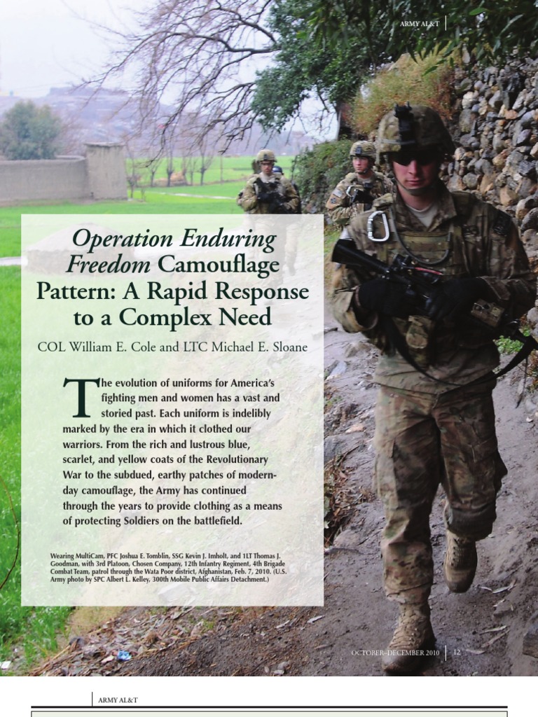 Camouflage PatternS OEF | PDF | United States Army | Military