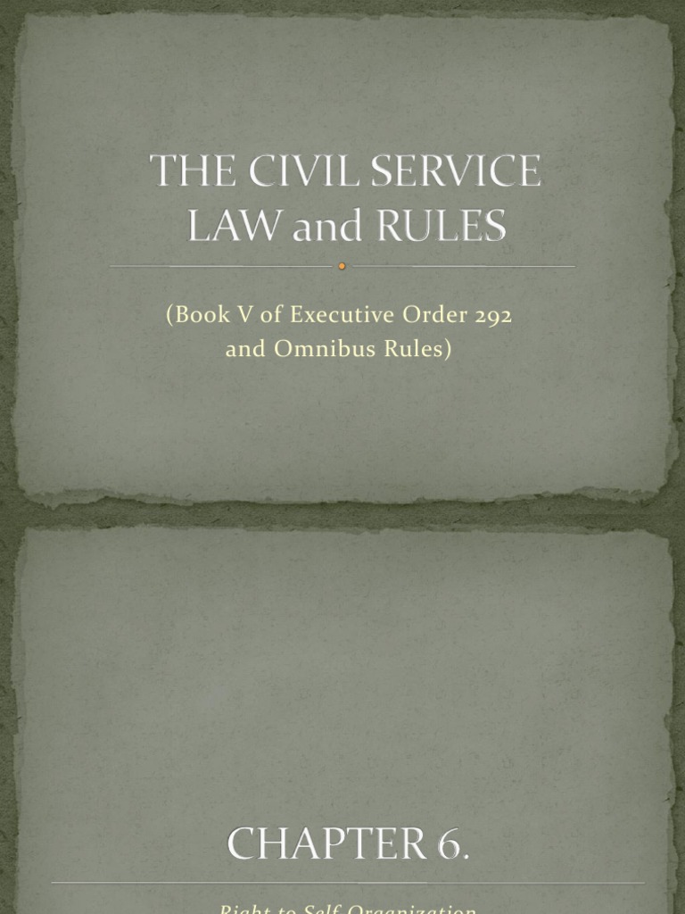 The Civil Service Law and Rules | PDF | Civil Service | United States ...