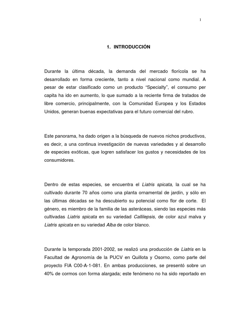 Evaluación de cormos de Liatris spicata | PDF | Tallo de la planta | Raíz