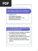 Zimogenos o Proenzimas | PDF | Salud y bienestar