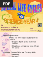 Grade 4 Life Cycles of Animals | PDF | Pupa | Insects