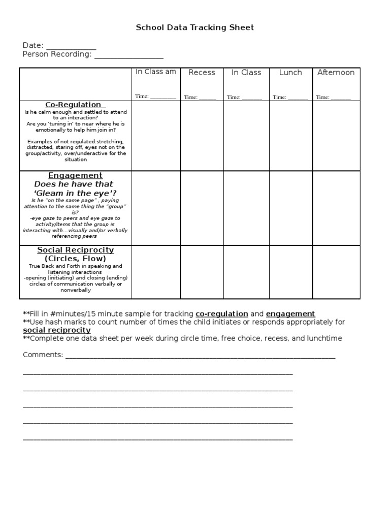 DIR Data Tracking Sheet For Schools | PDF