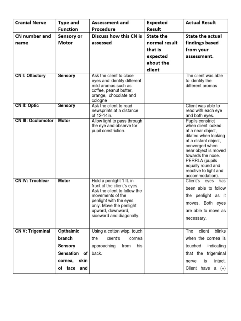 Cranial Nerve | PDF | Nervous System | Human Anatomy