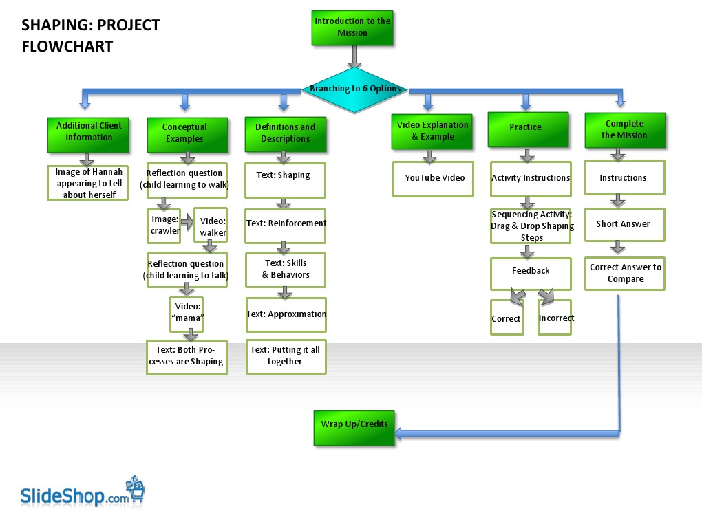 Project Flowchart Overview | PDF