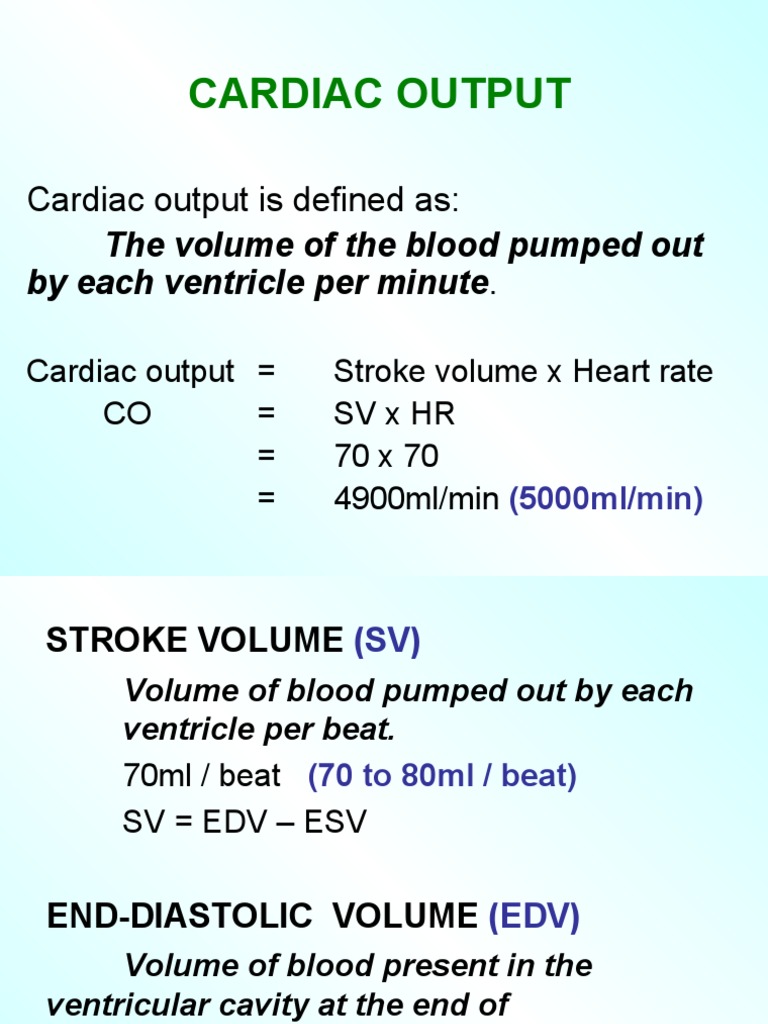 Cardiac Output | PDF | Ventricle (Heart) | Heart