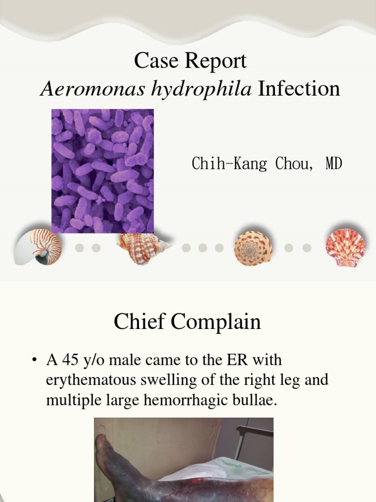 Aeromonas Infection | PDF | Sepsis | Diseases And Disorders