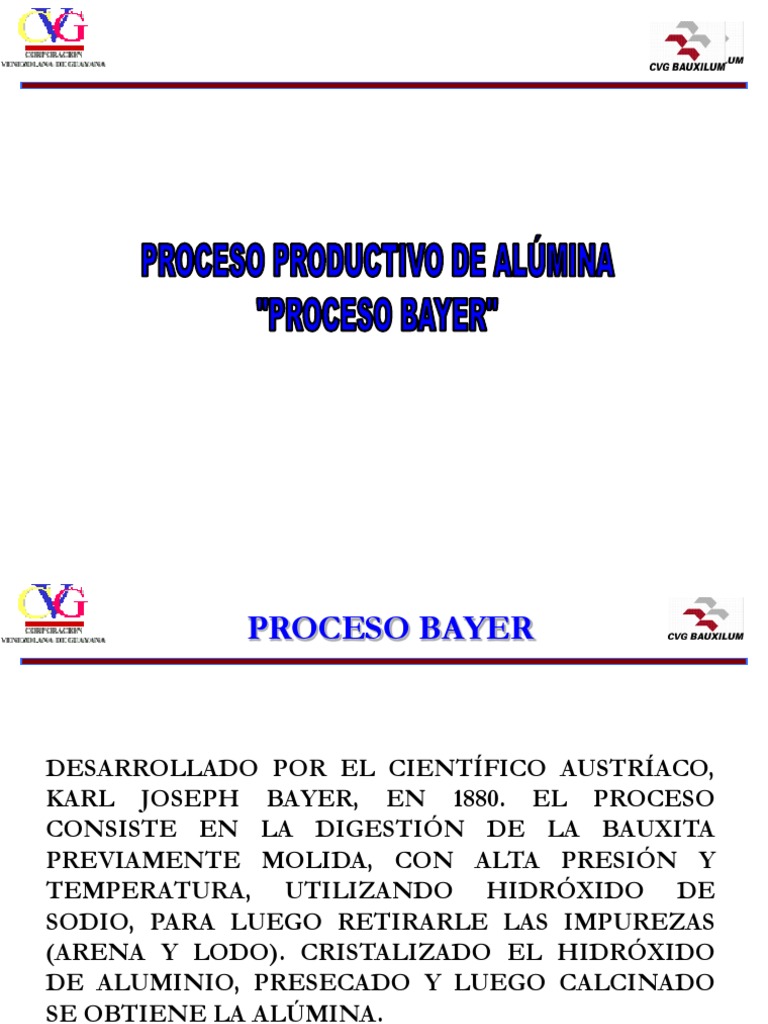 Proceso Bayer Completa