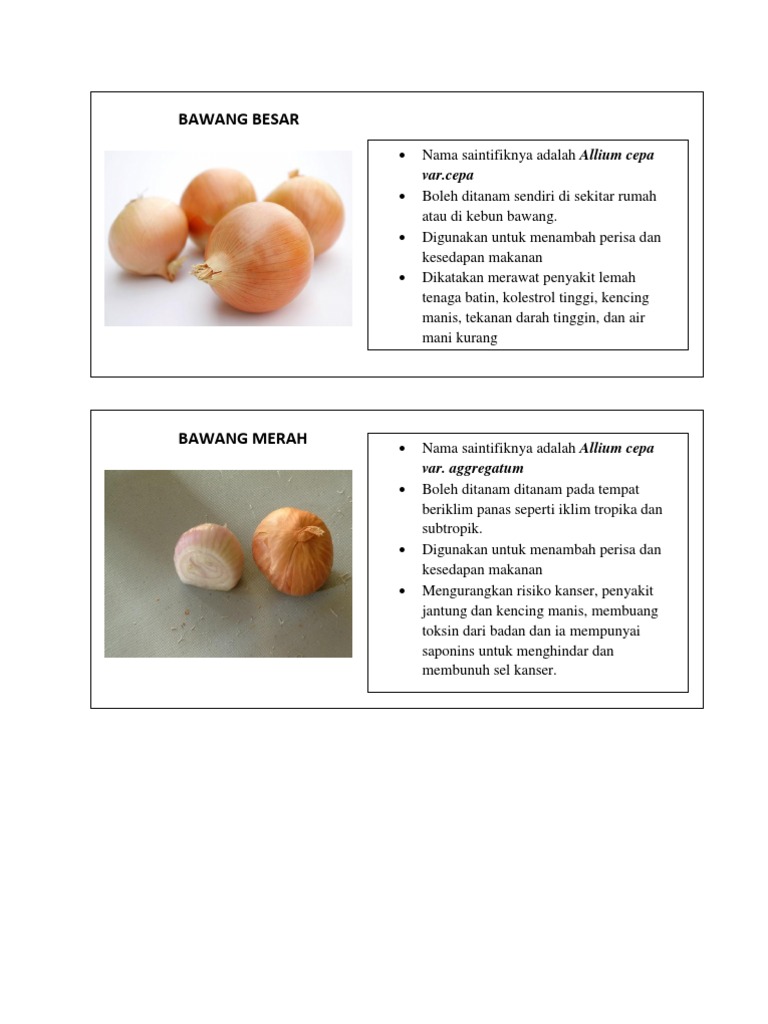 Jenis-Jenis Sayur Umbisi | PDF