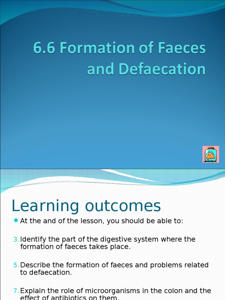 Formation of Faeces and Defaecation | PDF | Large Intestine | Dietary Fiber