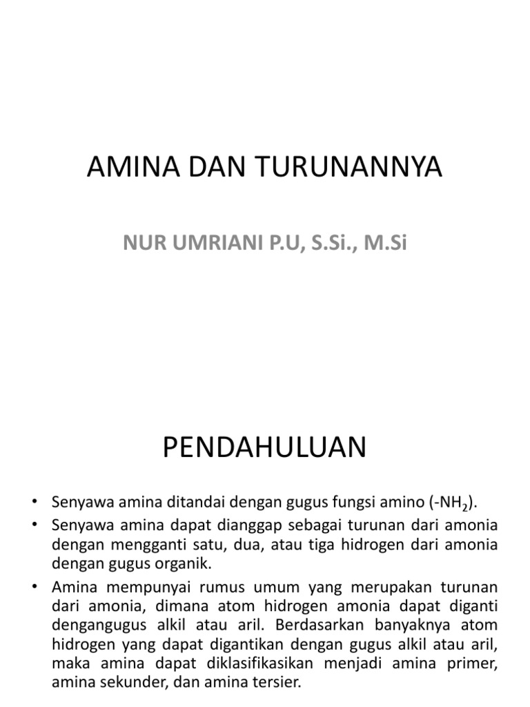 Amina Dan Turunannya | PDF
