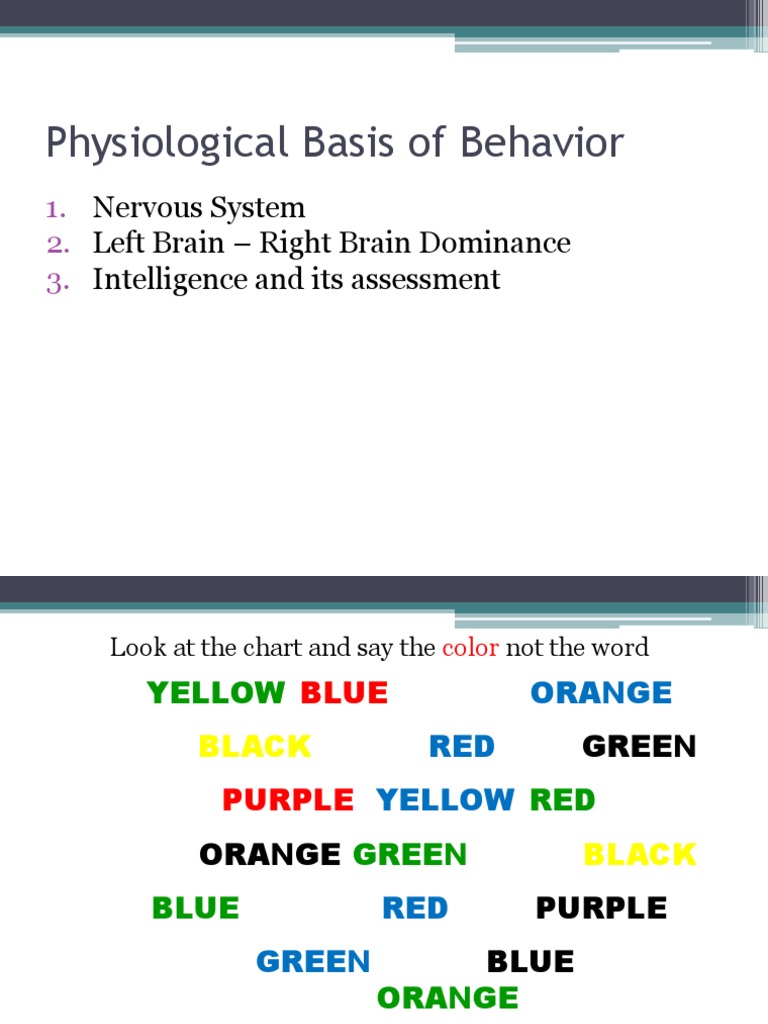 Understanding the Nervous System Basics | PDF | Autonomic Nervous ...