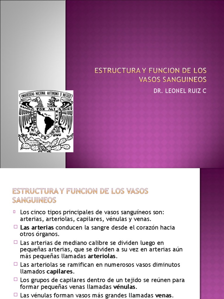 Estructura y Funcion de Los Vasos Sanguineos | PDF | Aorta | Artería