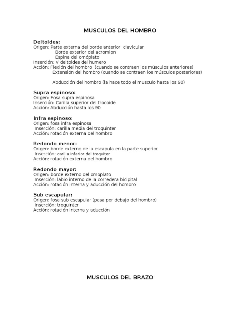 Anatomia (2do Cuatrimestre - Primer Examen) | PDF | Codo | Hombro