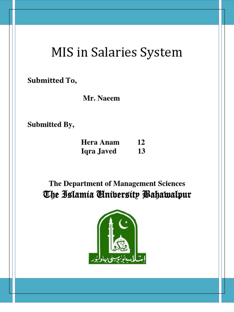 MIS in Salaries System | PDF | Payroll | Employee Benefits