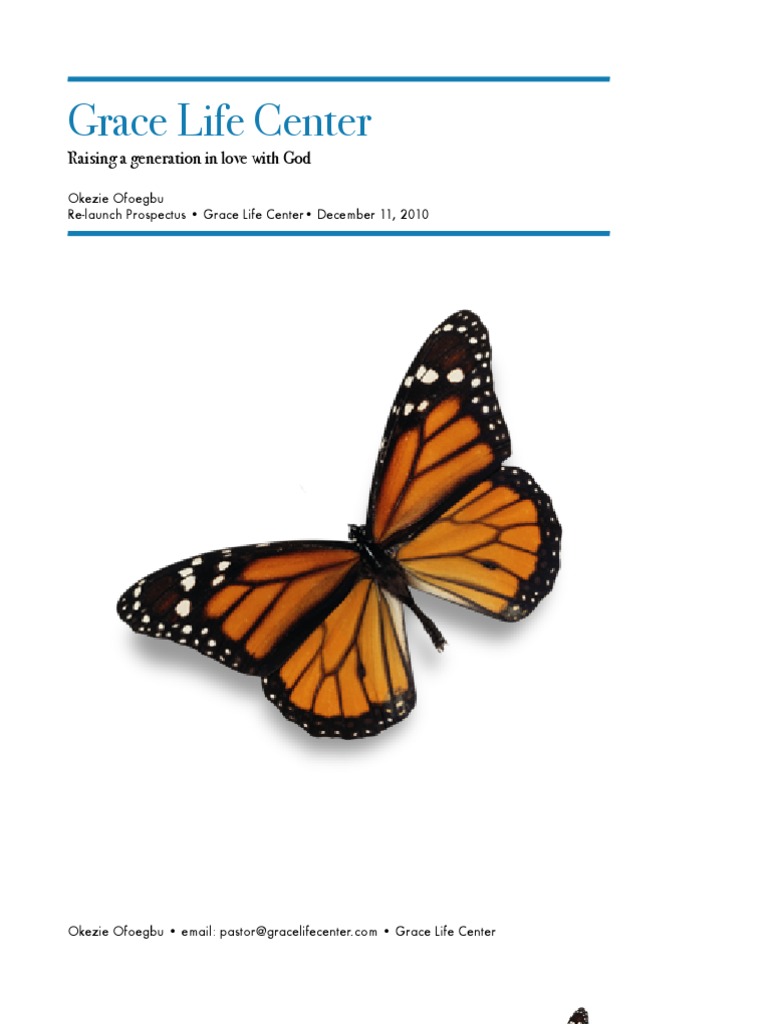 Grace Life Relaunch Document2 | PDF | Grace In Christianity | The Gospel