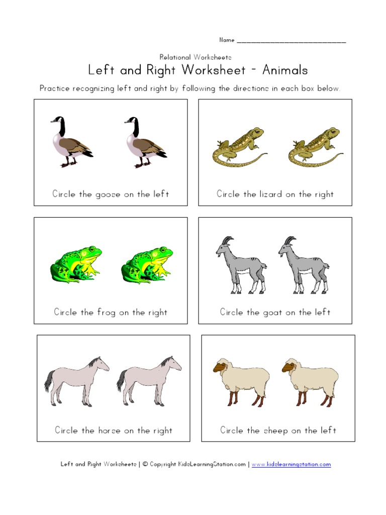 Left and Right Worksheets | PDF | Teaching Mathematics | Nature