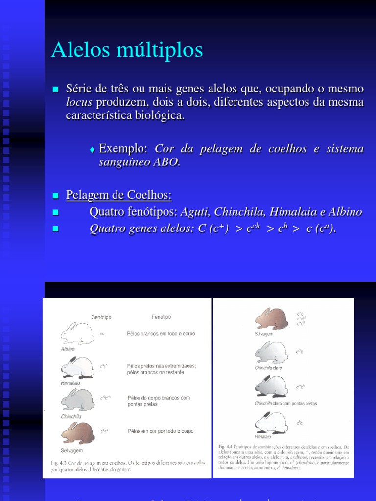 Alelos Múltiplos | PDF | Tipo sanguíneo | Tecido (Biologia)