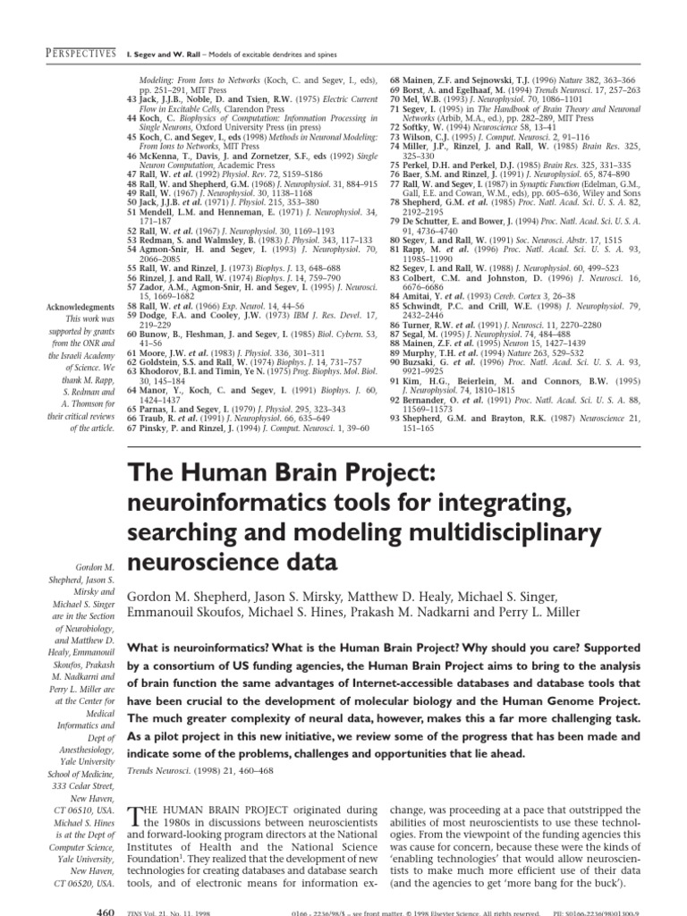 Human Brain Project | PDF | Neuron | Dendrite