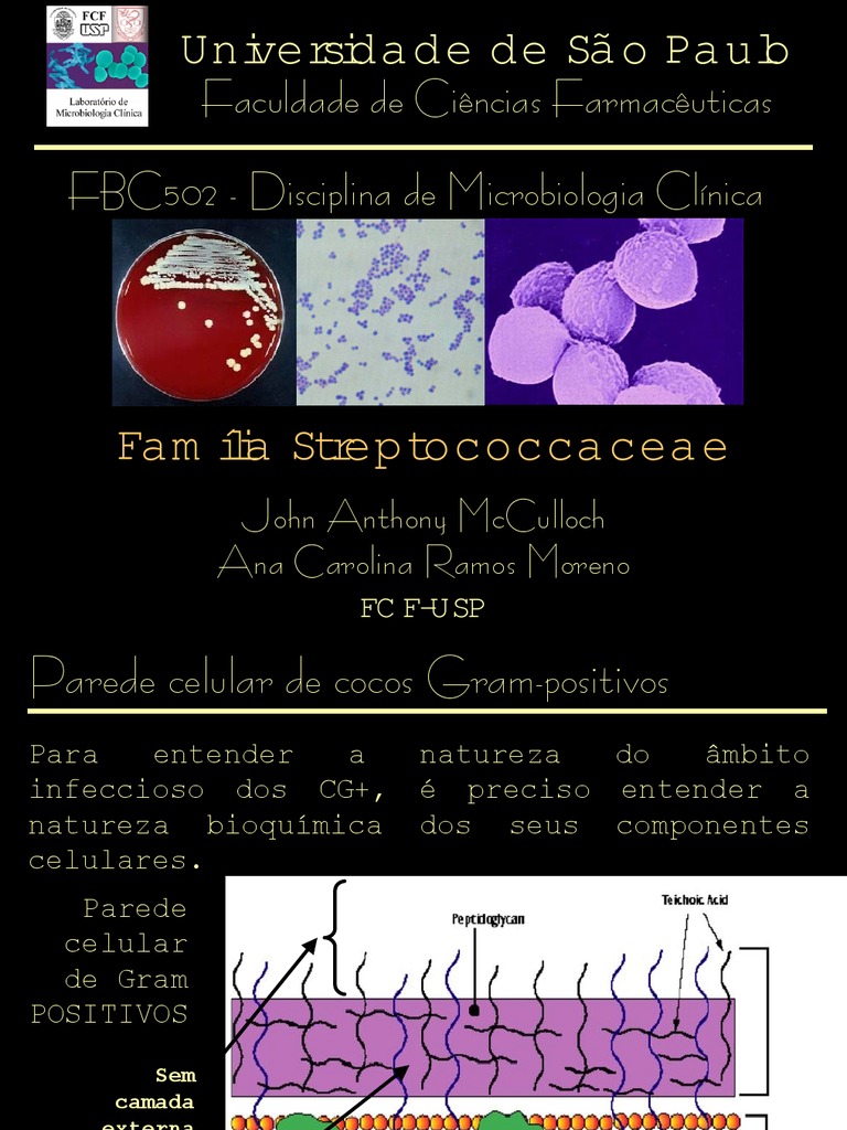 streptococcaceae | Streptococcus | Imunologia