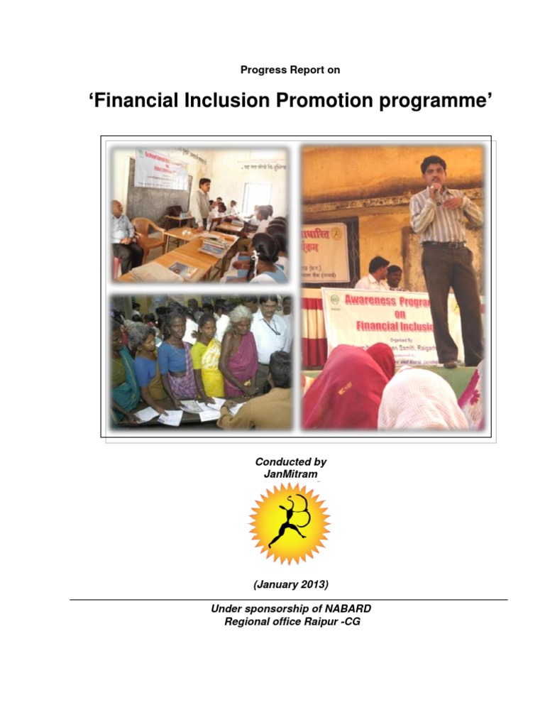 Financial Inclusion Progress Report 2013 | PDF | Financial Inclusion ...