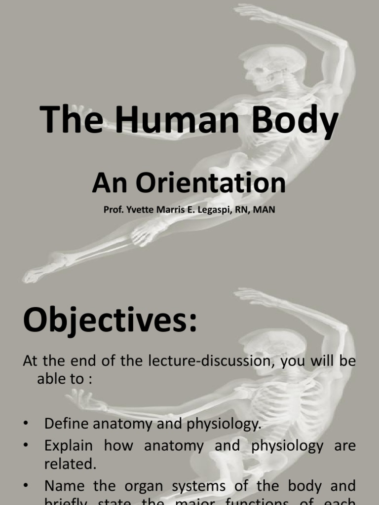 The Human Body: An Orientation | PDF | Anatomical Terms Of Location ...