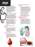 Leaflet Tablet Fe Zat Besi | PDF