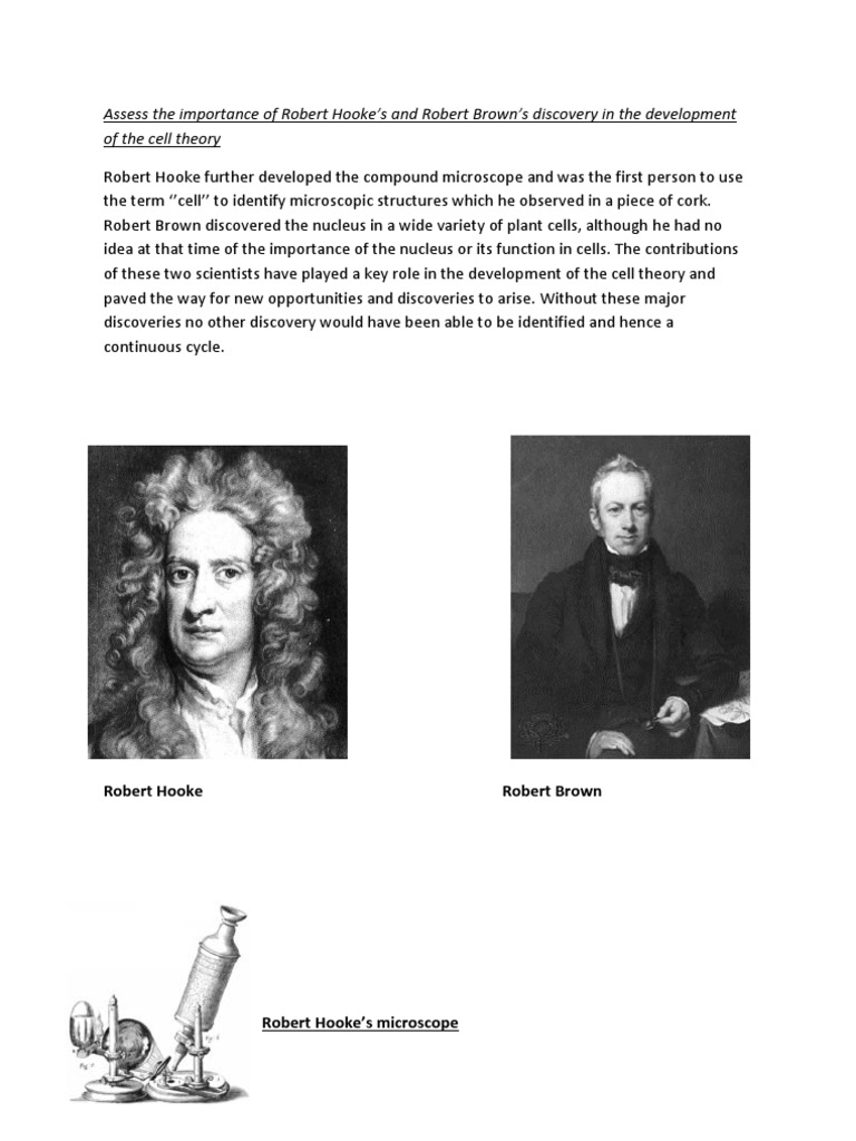 Assess The Importance of Robert Hooke | PDF | Philosophy