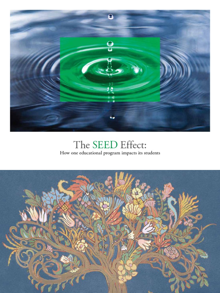 SEEDEffect 2012 Final LR | PDF | Secondary School | Science