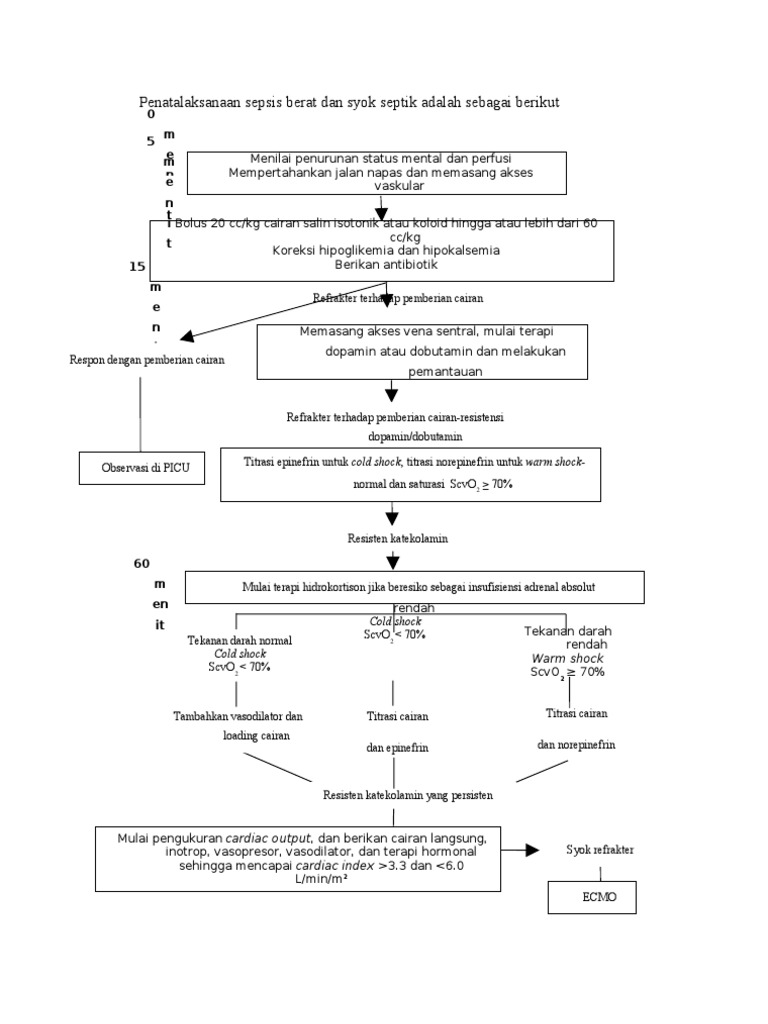 Tatalaksana Syok | PDF