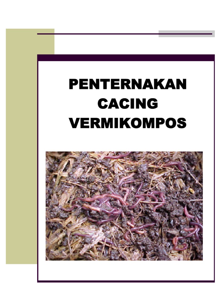 Penternakan Cacing Vermikompos
