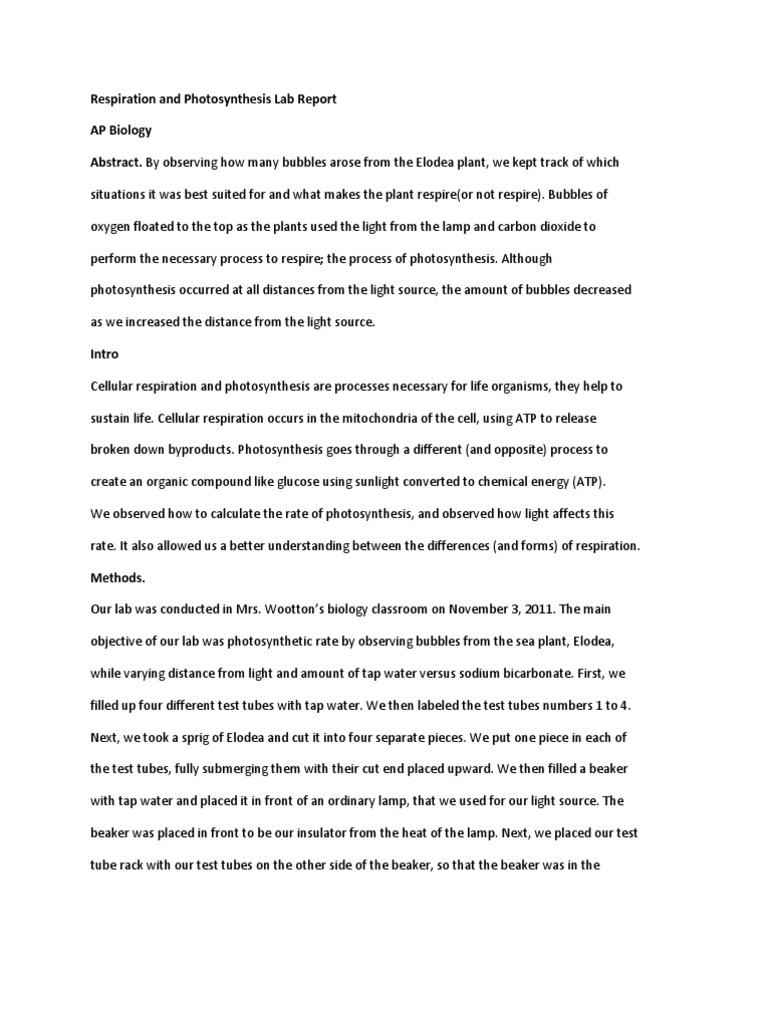 Respiration and Photosynthesis Lab Report | PDF | Photosynthesis ...