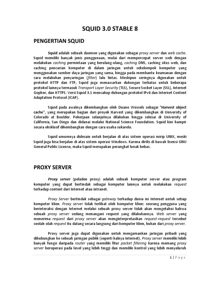 Proxy & Caching with Squid | PDF