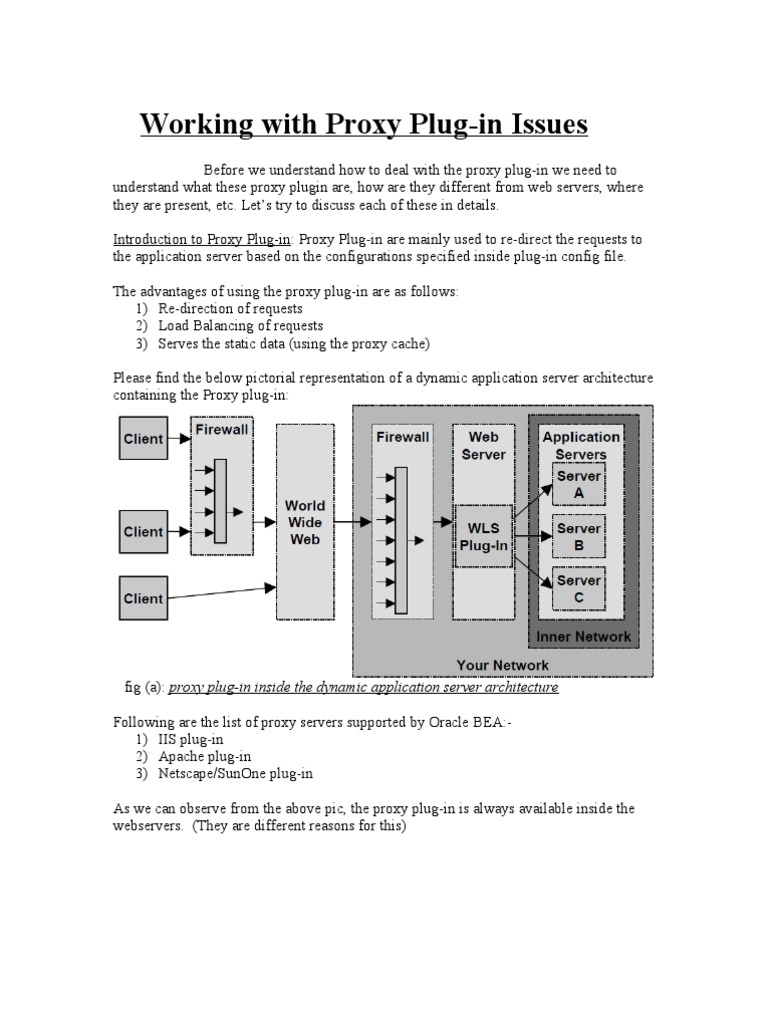 Working With Proxy Plug | PDF | Proxy Server | Web Server