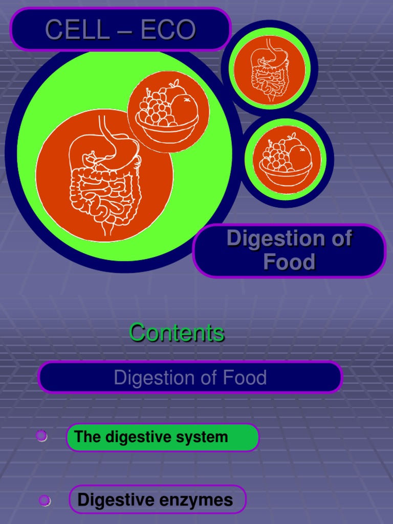 Food and Digestion BW | PDF | Digestion | Fat