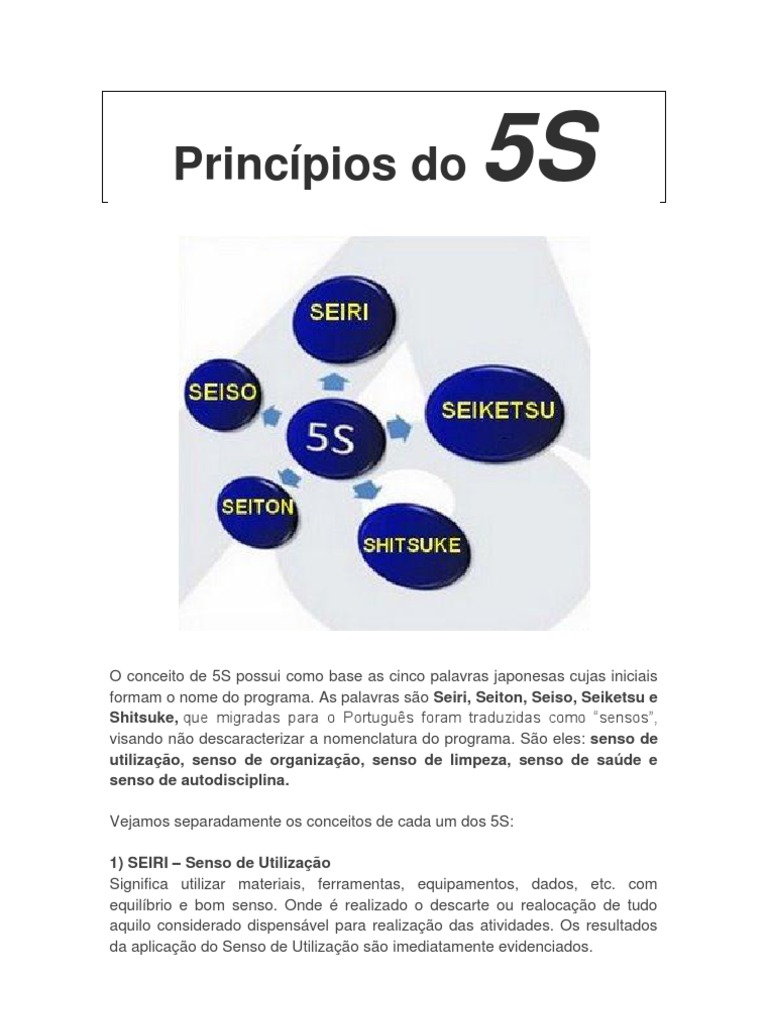 Princípios Do 5S | PDF | Padronização | Física