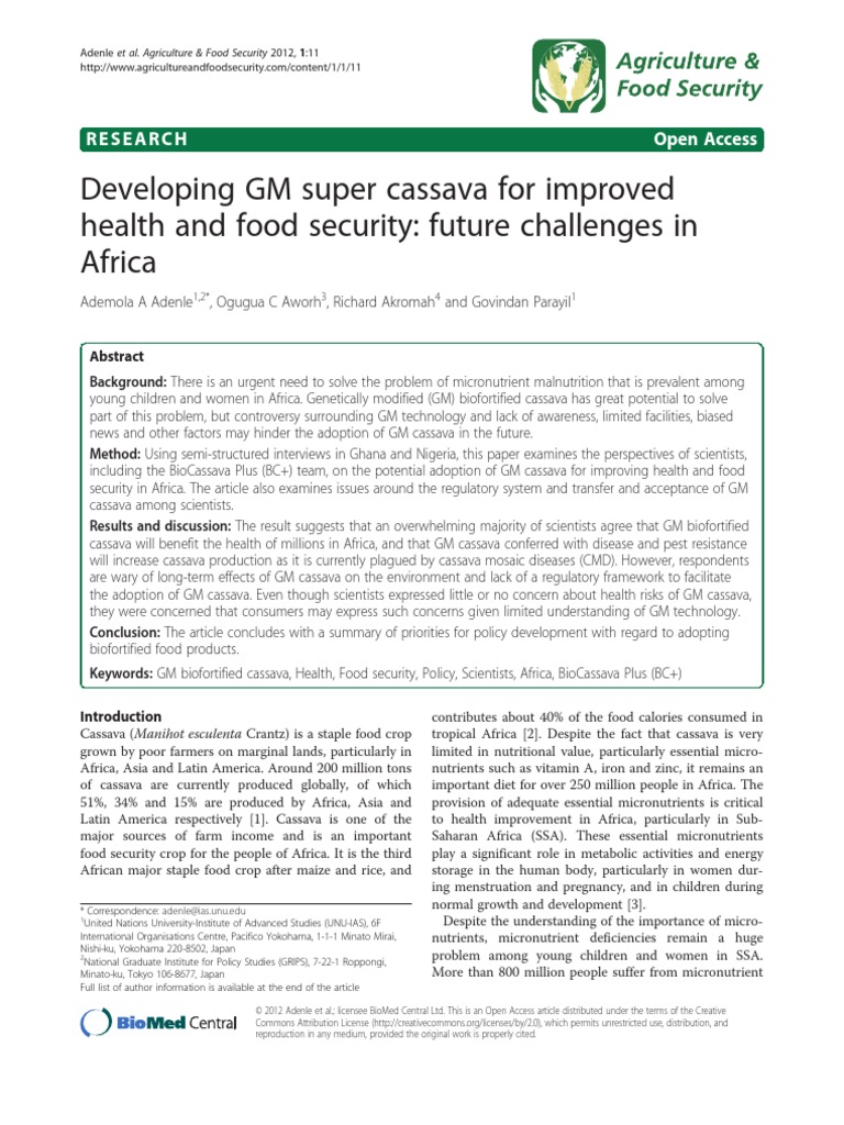 GM Cassava | PDF | Plant Breeding | Genetically Modified Organism
