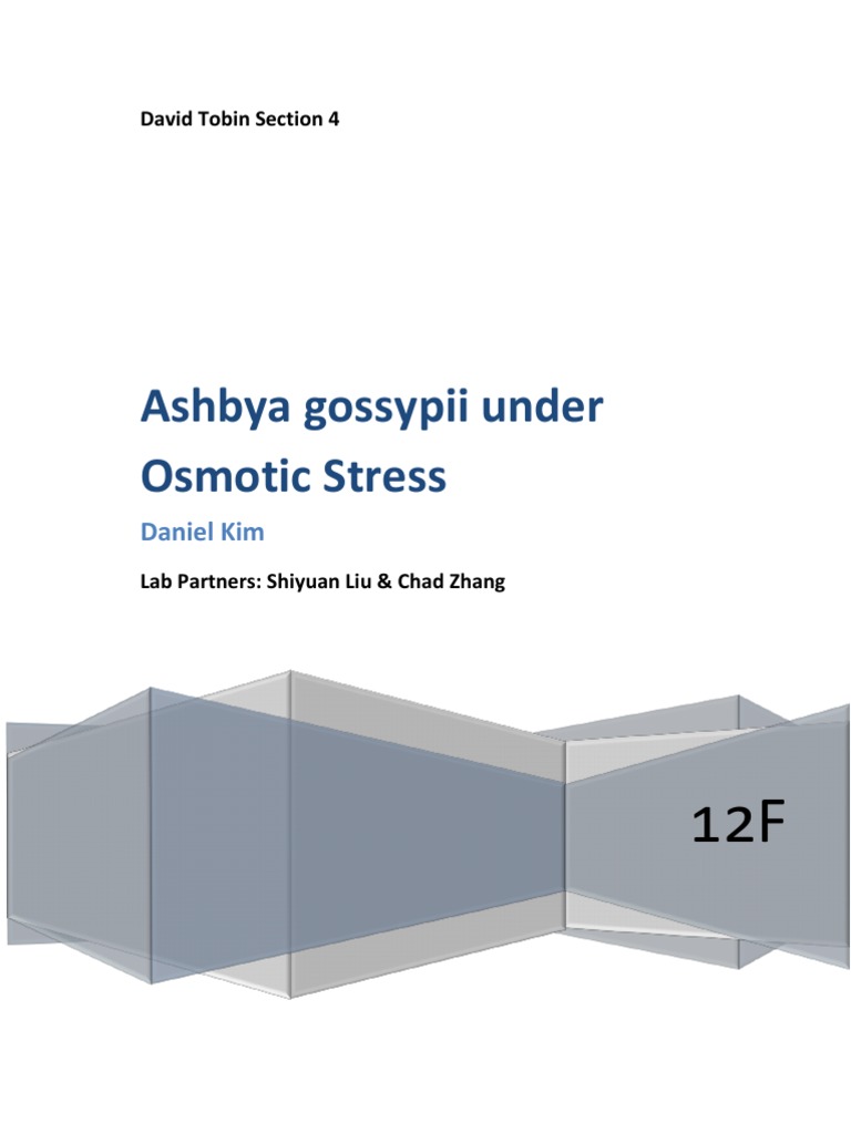 Ashbya Gossypii Under Osmotic Stress | PDF | Cell Nucleus | Cell Biology