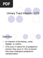 Nursing Care Plan - Uti | PDF | Urinary Tract Infection | Urinary System
