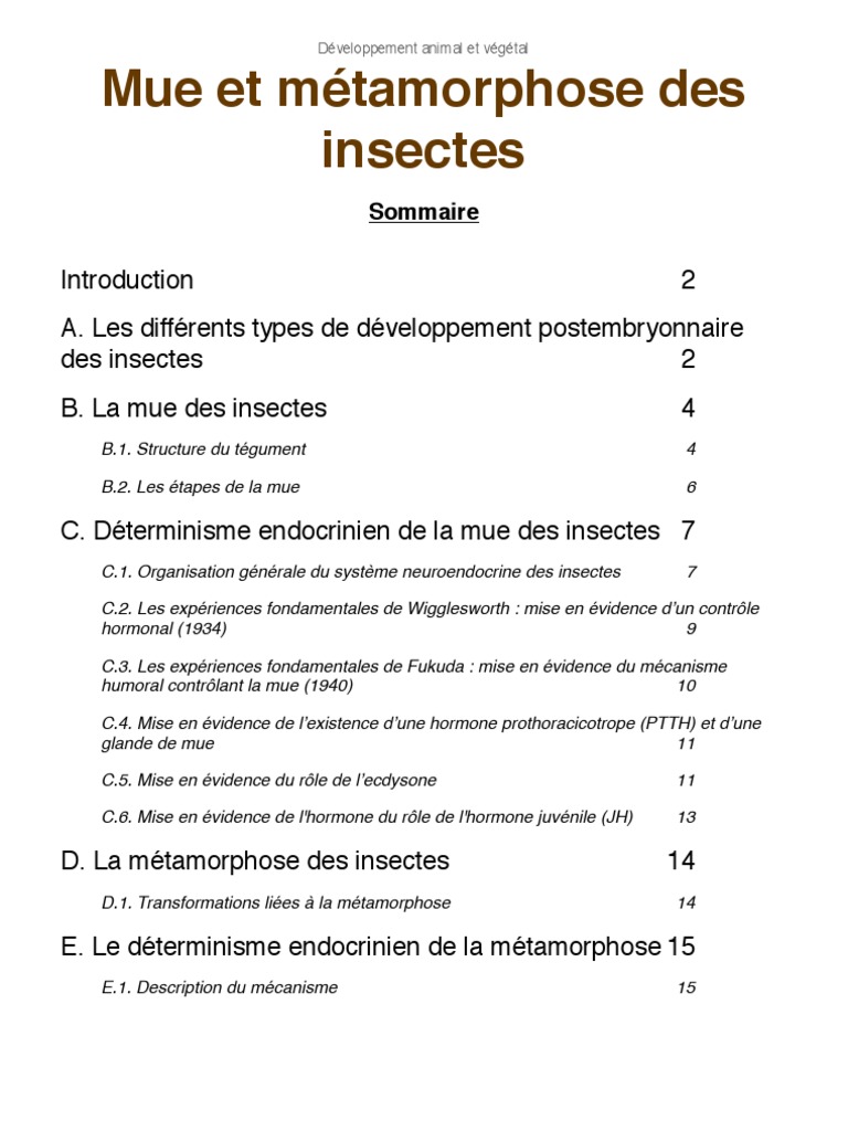 Mue Et Métamorphose Des Insectes | PDF | Insectes | Zoologie