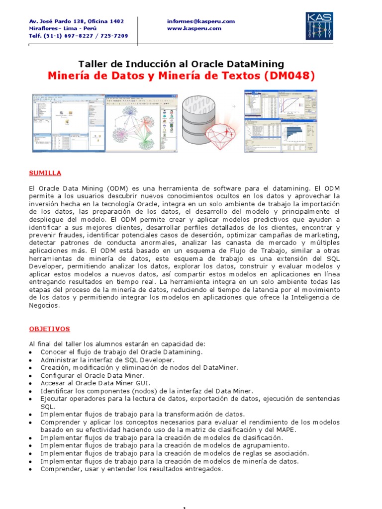 Brochure Taller de Inducción Al Oracle DataMining Minería de Datos (DM048) | Descargar gratis ...