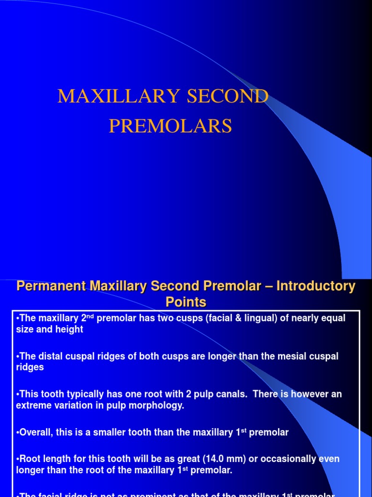 Maxillary Second Premolars | PDF | Anatomical Terms Of Location | Lens ...