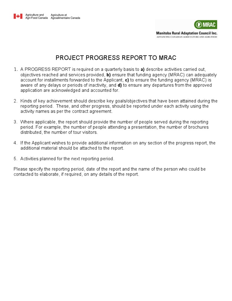 Project Progress Reporting Template | PDF
