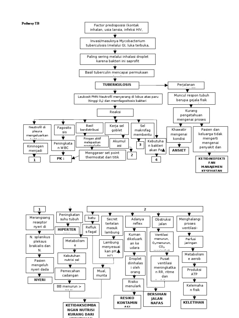 Pathway TB Paru | PDF