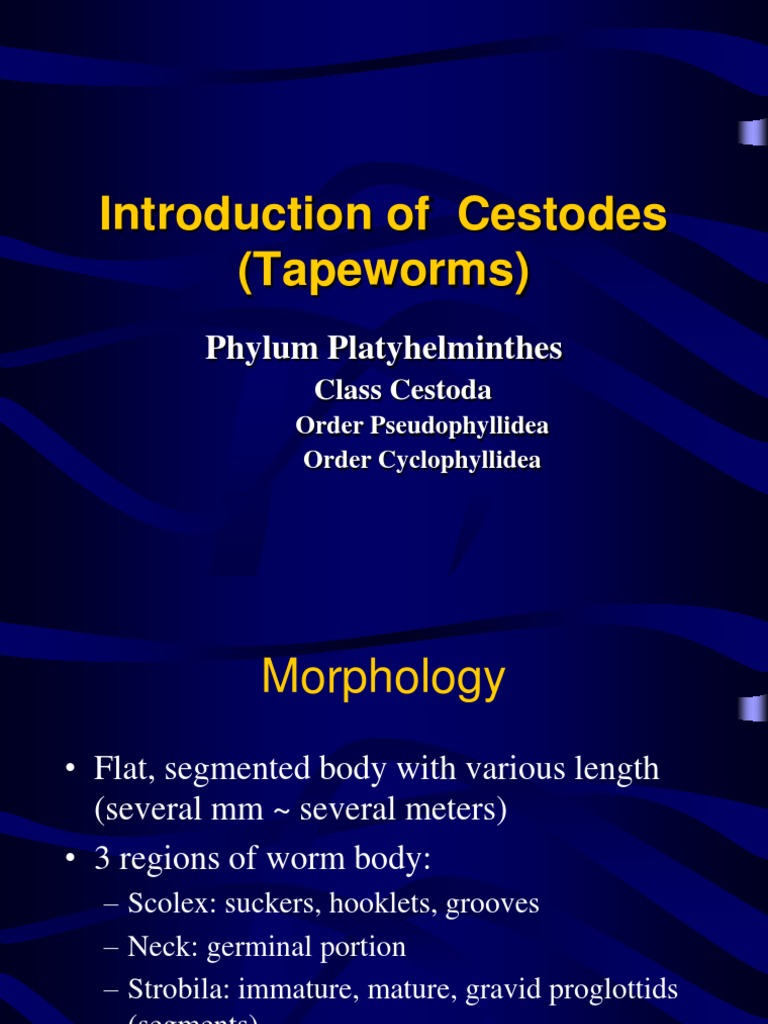 Cestoda Tapeworm | PDF | Clinical Medicine | Epidemiology