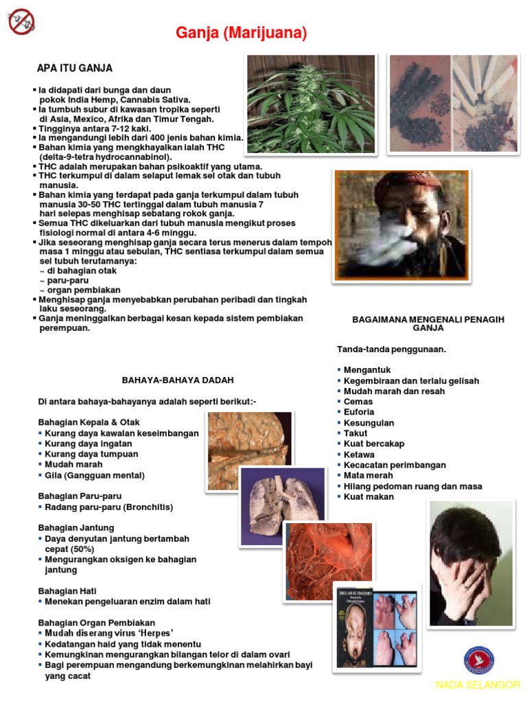 Jenis Dadah | PDF | Kesehatan Holistik
