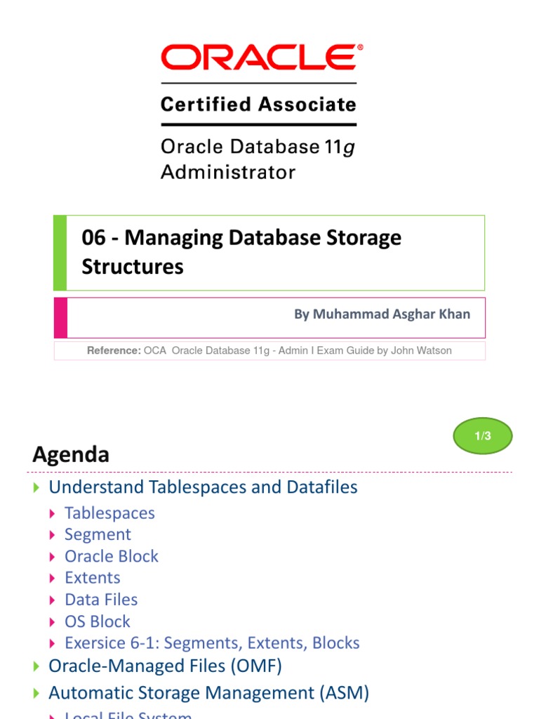OCA 06 - Managing Database Storage Structures | PDF | Oracle Database ...