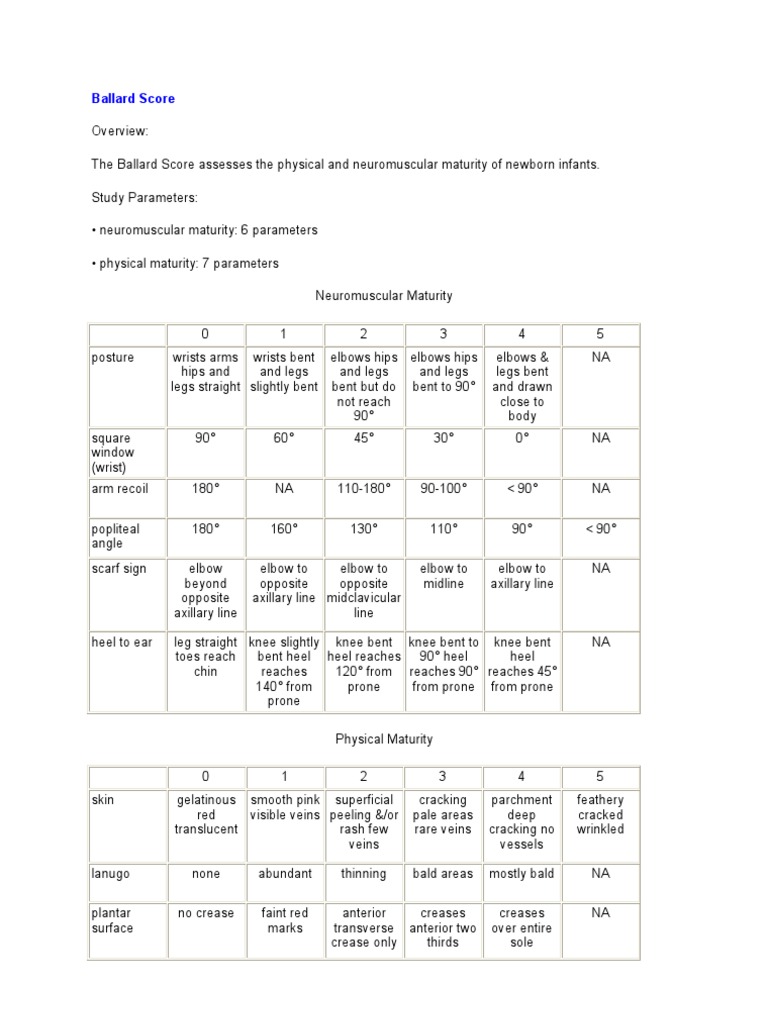 Ballard Score for Newborn Maturity | PDF