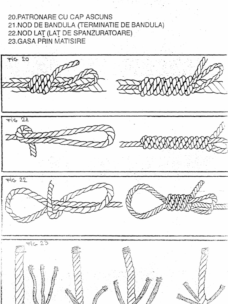 Noduri Marinaresti | PDF